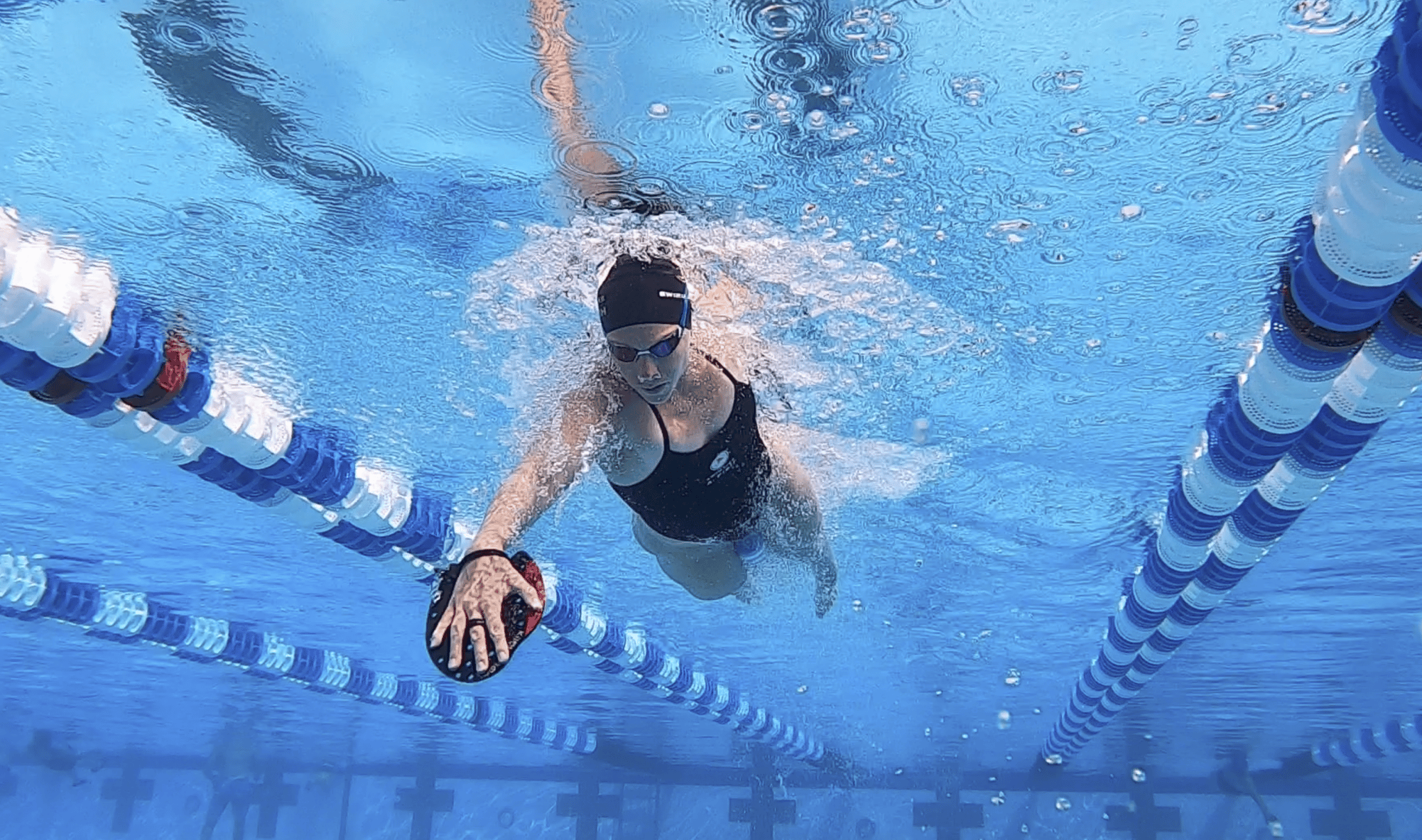 Blog - Swim Like A Fish