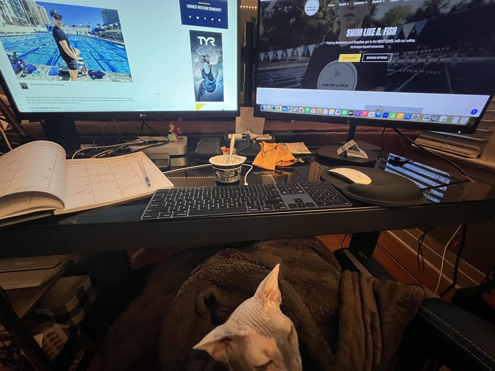 Welcome to Swim Like A. Fish