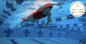 Mastering Rotation in Freestyle Swimming - Swim Like A Fish